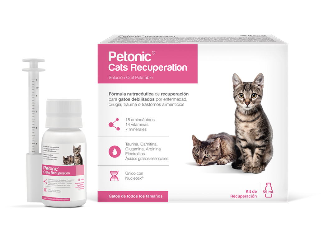 Petonic Cats Recuperation – Distrito Vet
